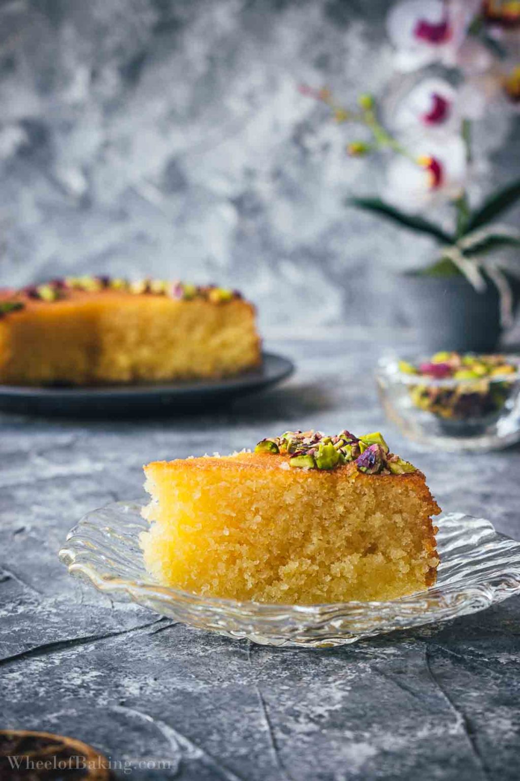 Greek Revani Cake (Ravani) - Wheel of Baking