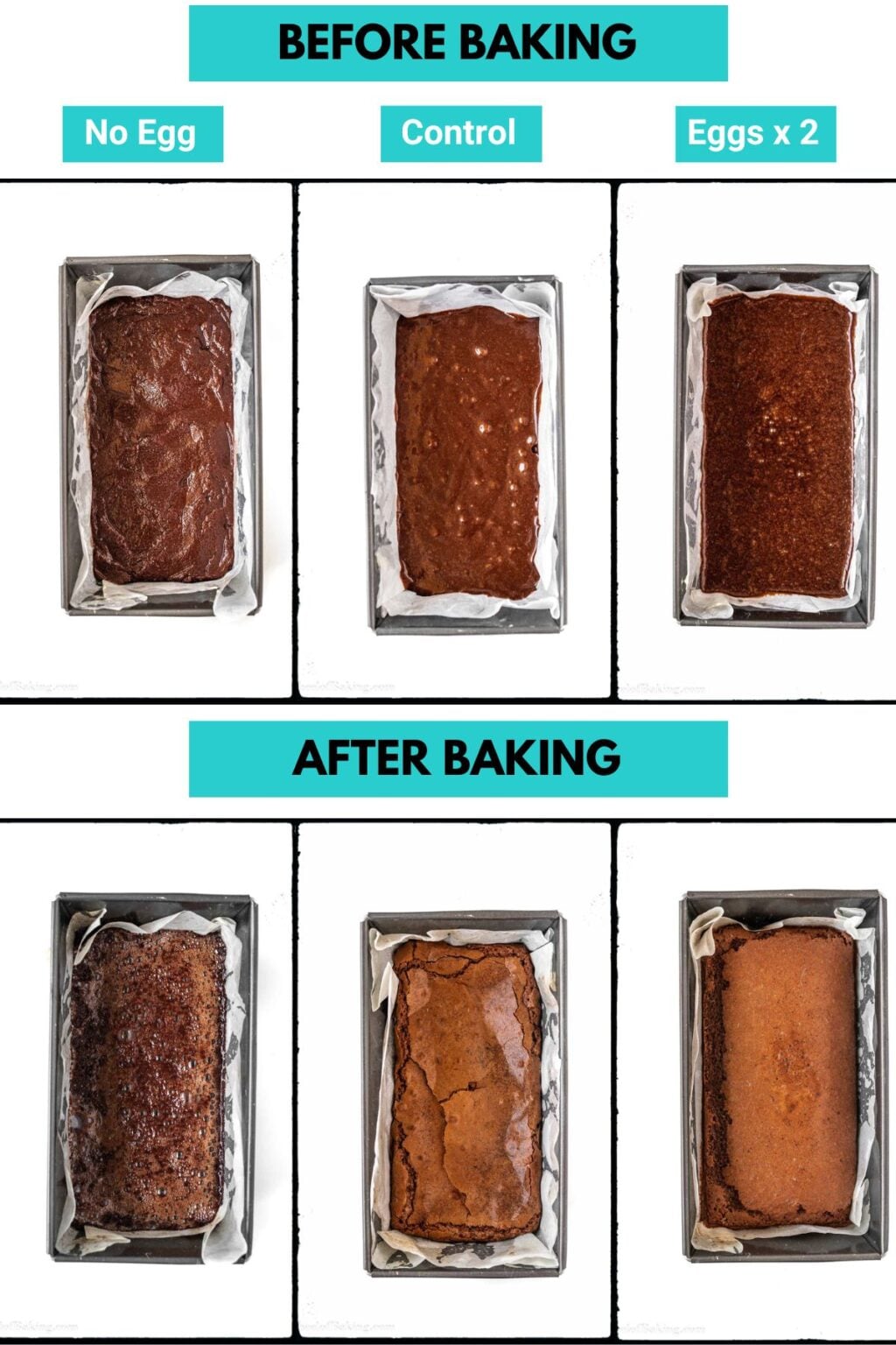 Role of Eggs in Brownies - Wheel of Baking