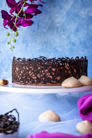 Chocolate Royal Cake with Hazelnut Almond Dacquoise - Wheel of Baking