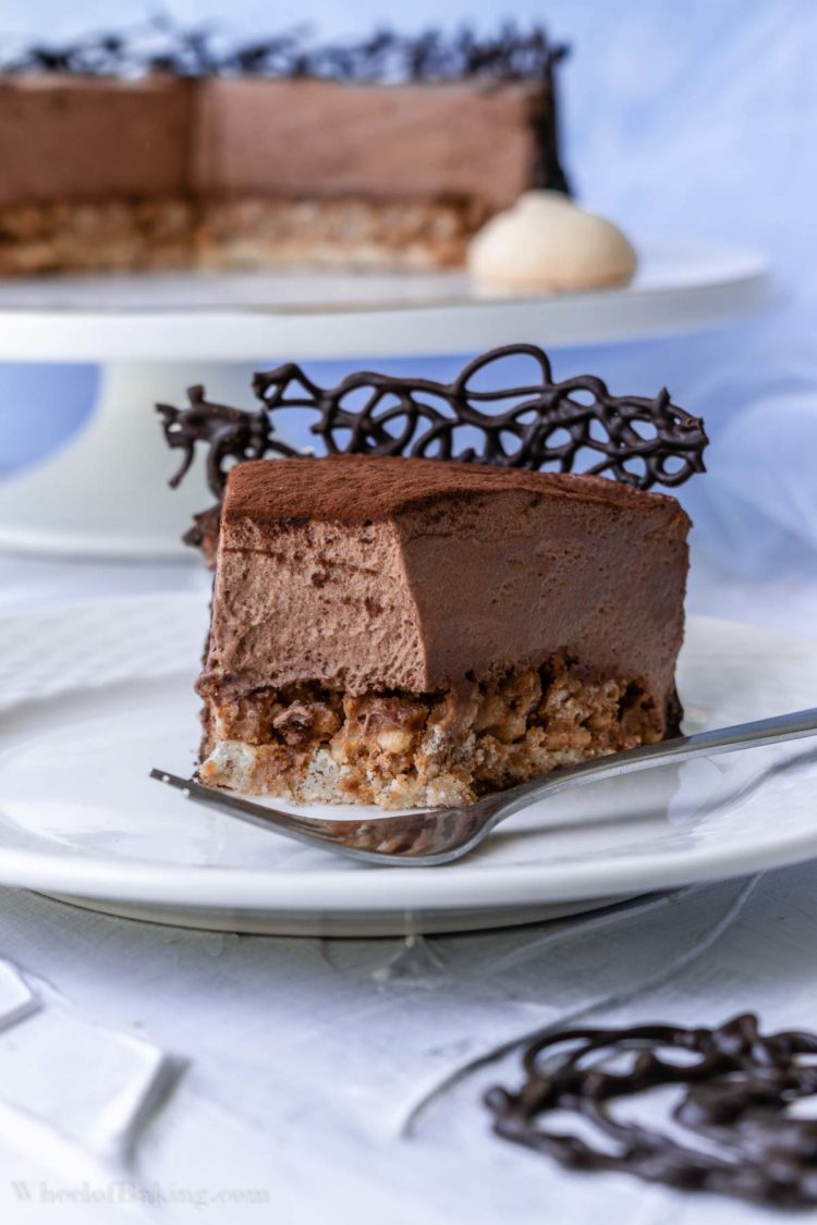 Chocolate Royal Cake with Hazelnut Almond Dacquoise - Wheel of Baking