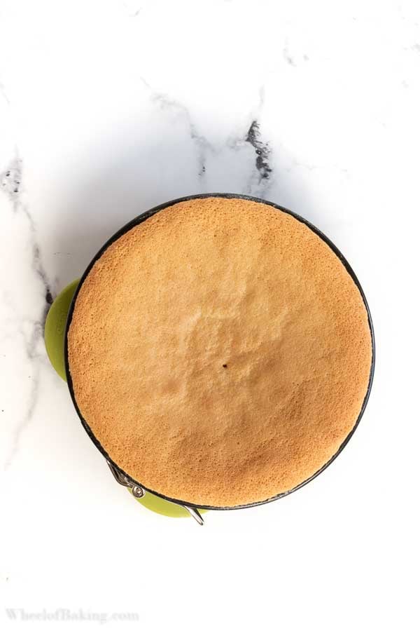 How to make Genoise (Sponge Cake) - Wheel of Baking