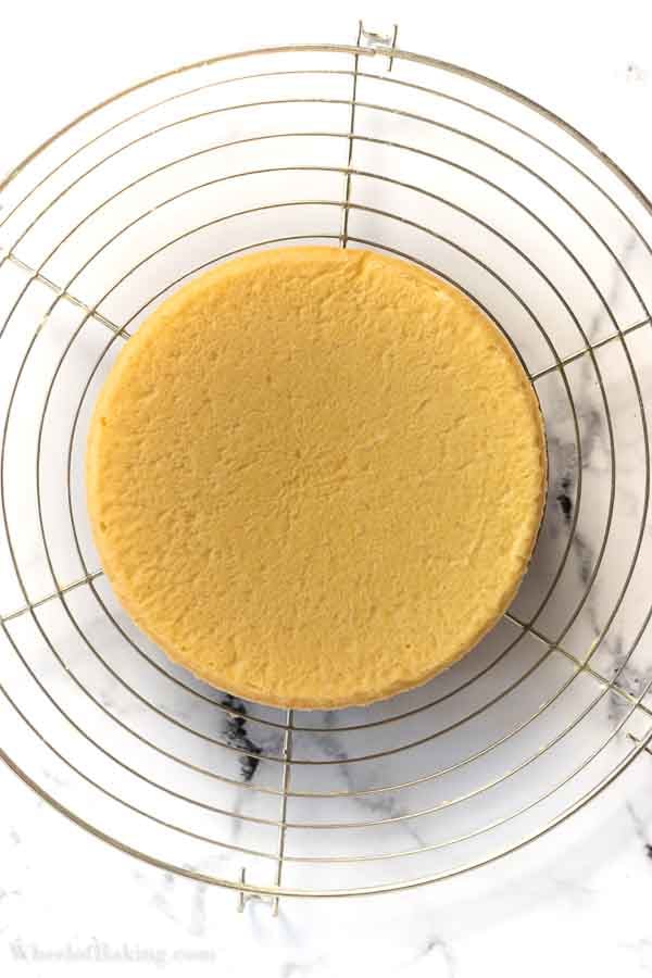 How to make Genoise (Sponge Cake) - Wheel of Baking