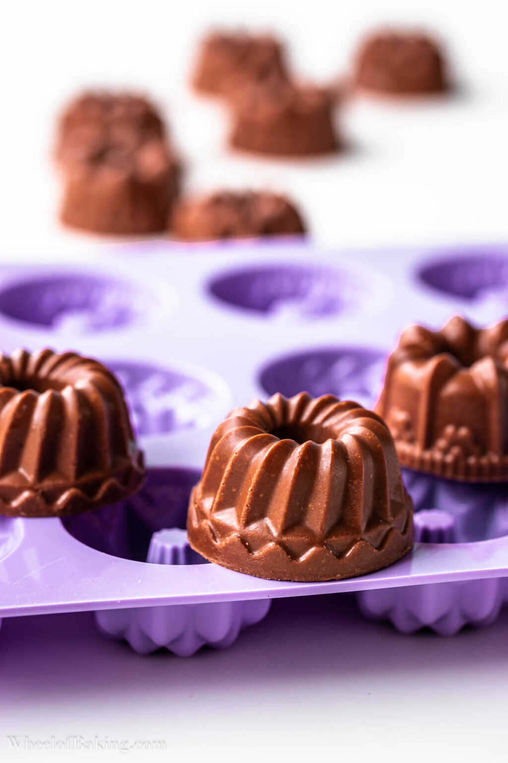 Hazelnut Gianduja Recipe - Wheel of Baking