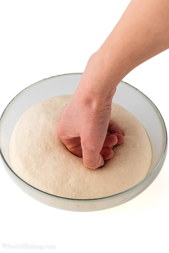 How to Make Semolina Rolls - Wheel of Baking