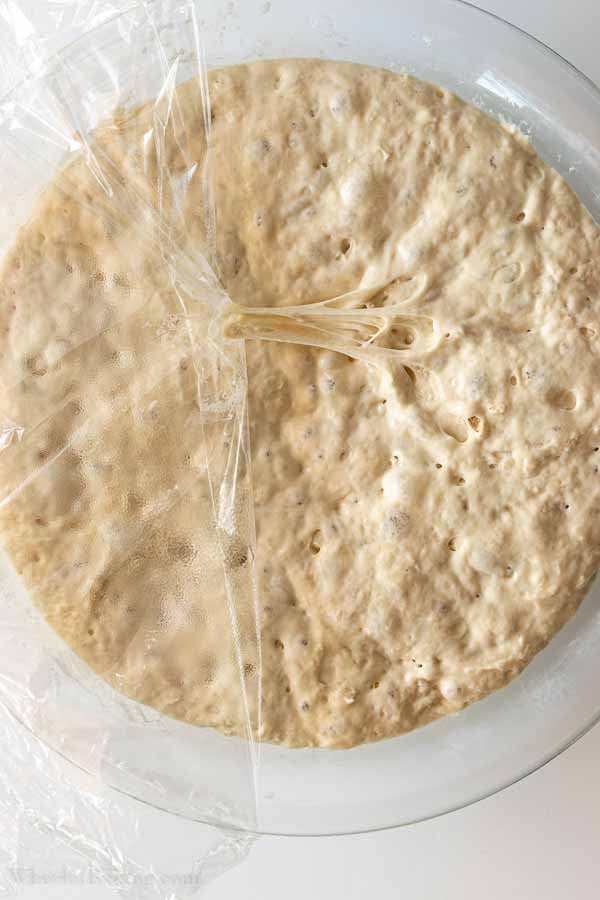 Easy No Knead Bread Recipe (no pan required) - Wheel of Baking