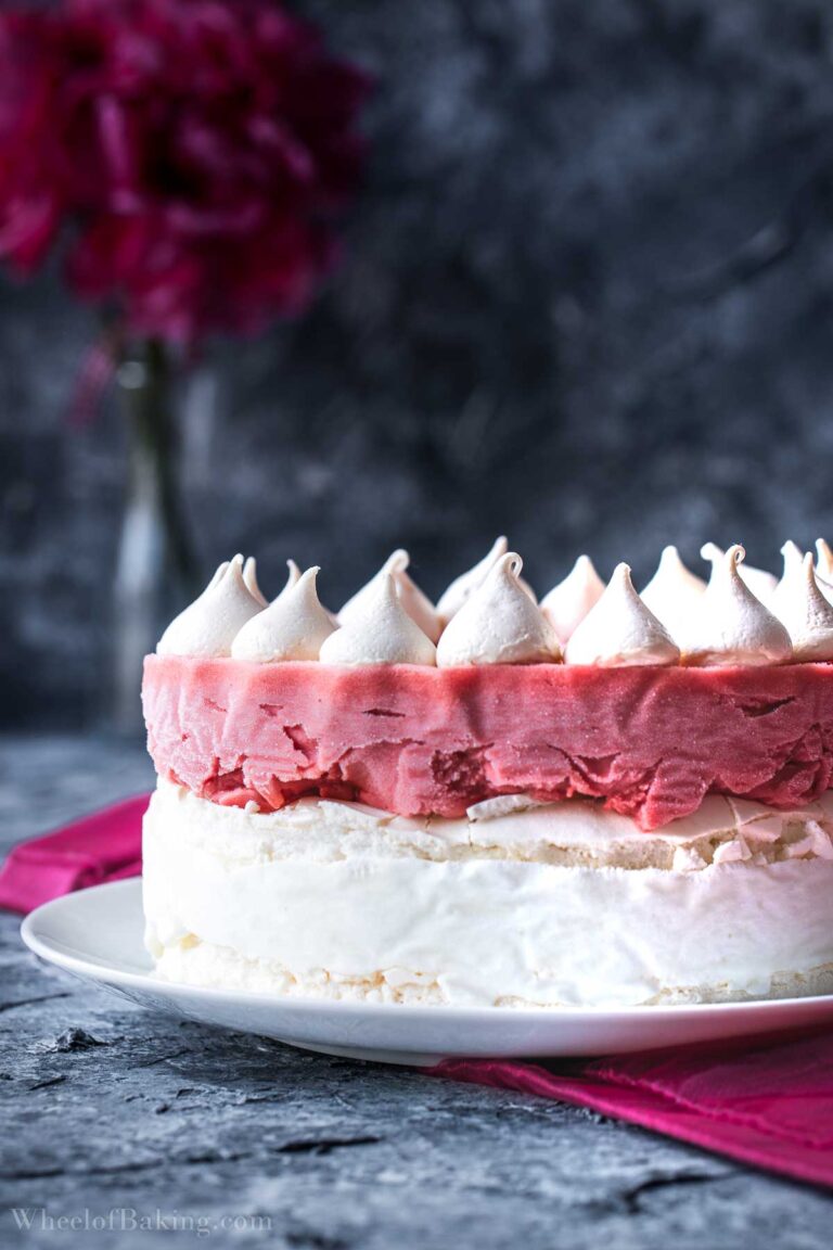Vacherin Dessert (Meringue Ice Cream Cake) - Wheel of Baking