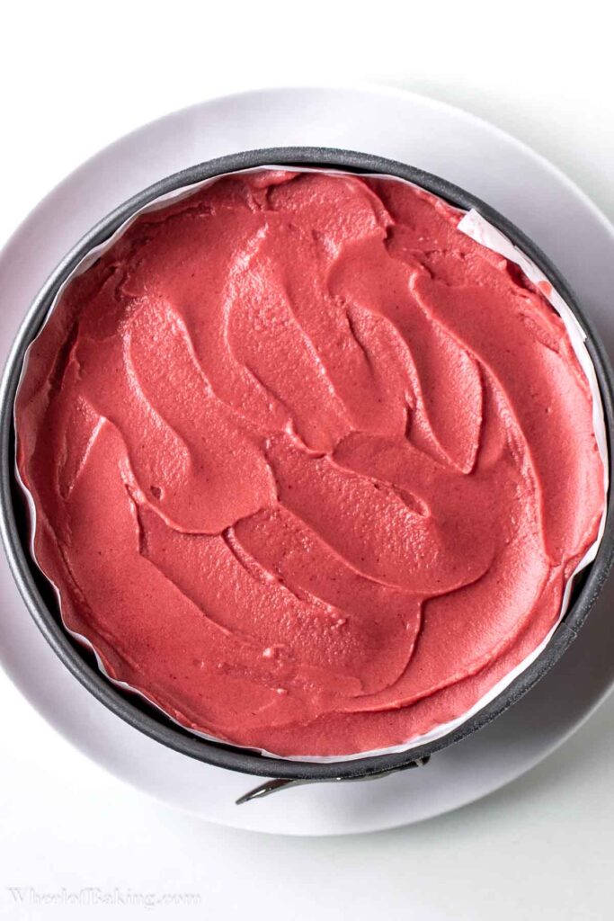 Vacherin Dessert (Meringue Ice Cream Cake) - Wheel of Baking