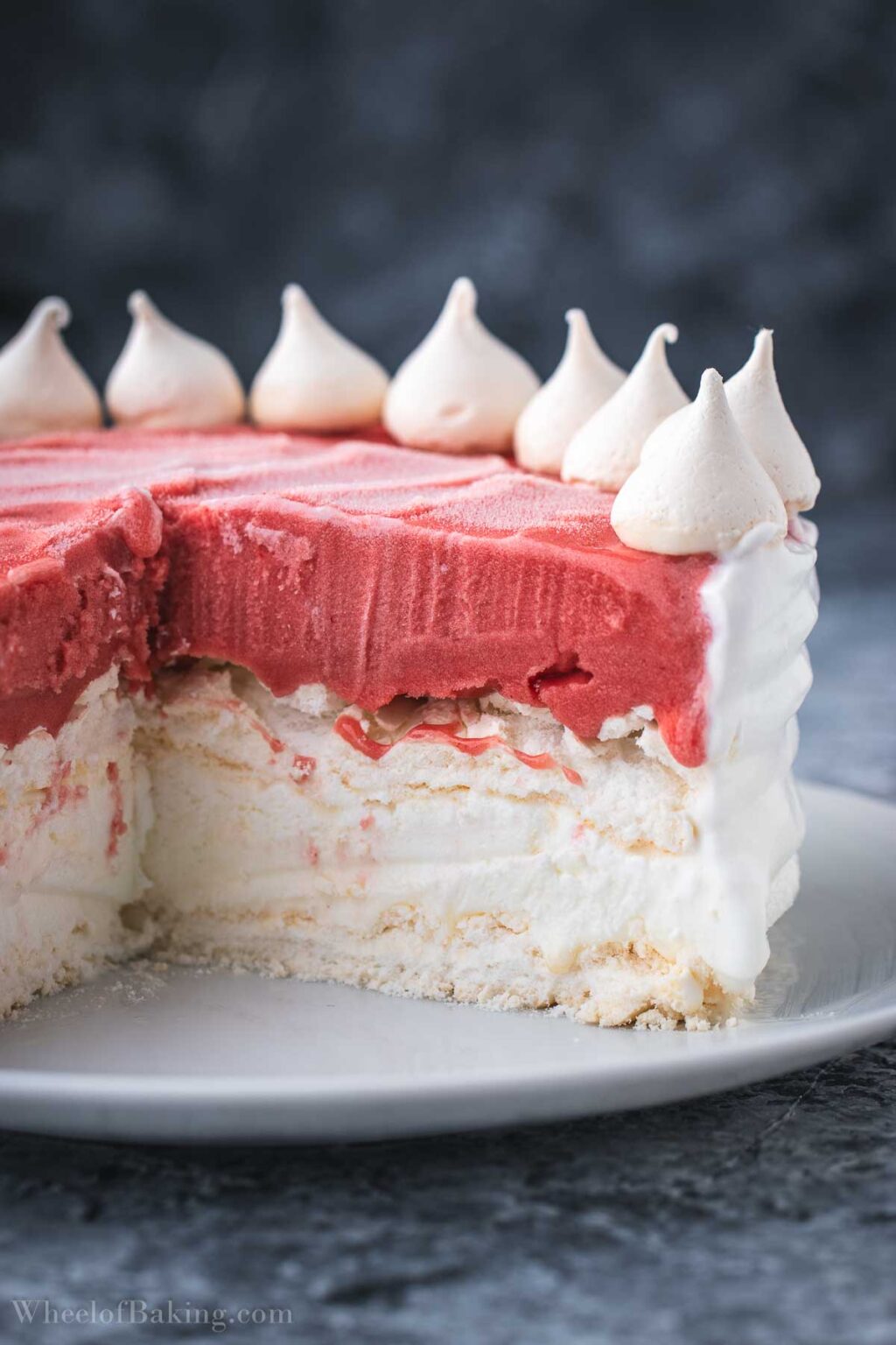 Vacherin Dessert (Meringue Ice Cream Cake) - Wheel of Baking